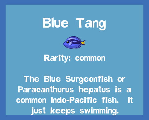 Blue Tang | Aqua Pets Wiki | Fandom