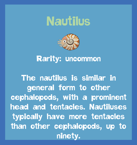 Nautilus | Aqua Pets Wiki | Fandom