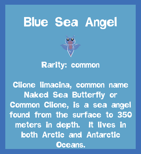 Blue Sea Angel | Aqua Pets Wiki | Fandom