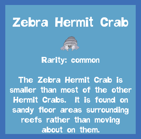 Zebra Hermit Crab | Aqua Pets Wiki | Fandom