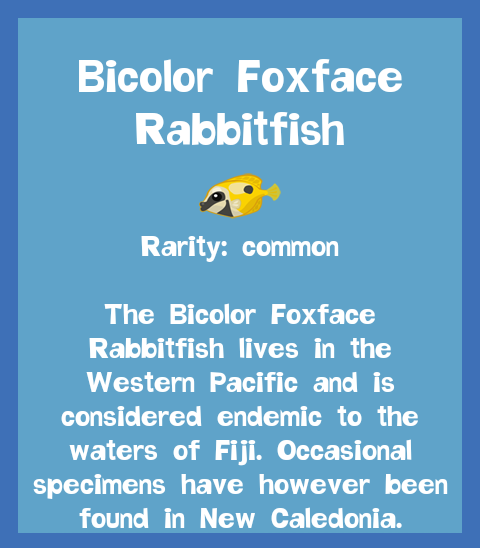 Bicolor Foxface Rabbitfish | Aqua Pets Wiki | Fandom