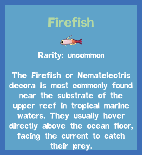 Firefish | Aqua Pets Wiki | Fandom