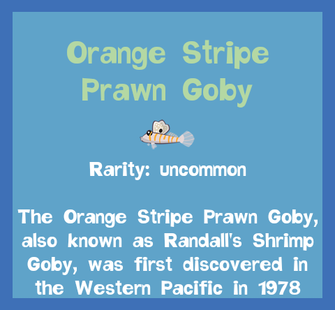 Orange Stripe Prawn Goby | Aqua Pets Wiki | Fandom
