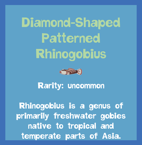Diamond-Shaped Patterned Rhinogobius | Aqua Pets Wiki | Fandom