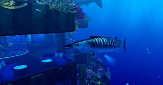 Wahoo | Aquatica Observatory Wiki | Fandom