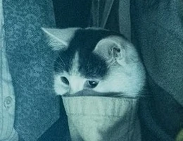 Nico | A Quiet Place Wiki | Fandom