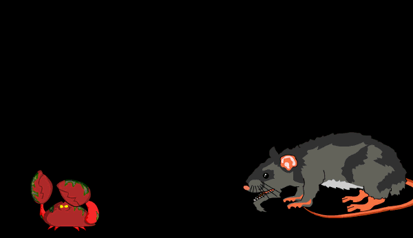 Krabb | AdventureQuest Wiki | Fandom