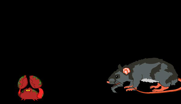 Krabb | AdventureQuest Wiki | Fandom