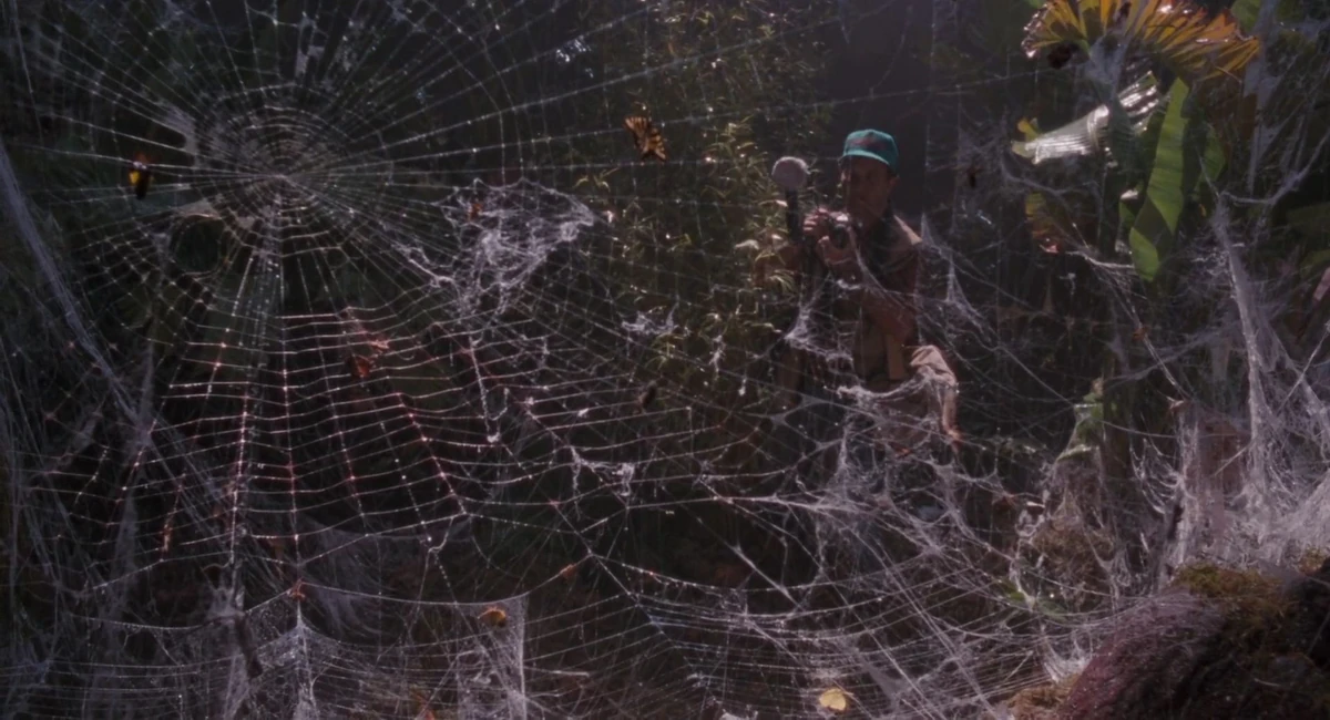 Web | Arachnophobia Wiki | Fandom