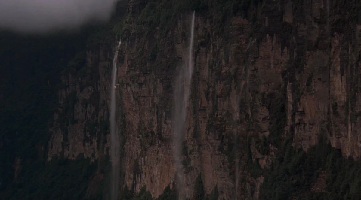 Venezuelan spider tepui | Arachnophobia Wiki | Fandom