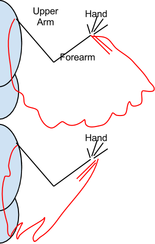 Avians | Ara: Realm of Dreams Wiki | Fandom