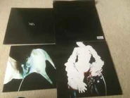 Xen | Arca Wiki | Fandom