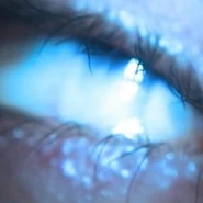 Mutant | Arca Wiki | Fandom