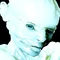 Sheep | Arca Wiki | Fandom