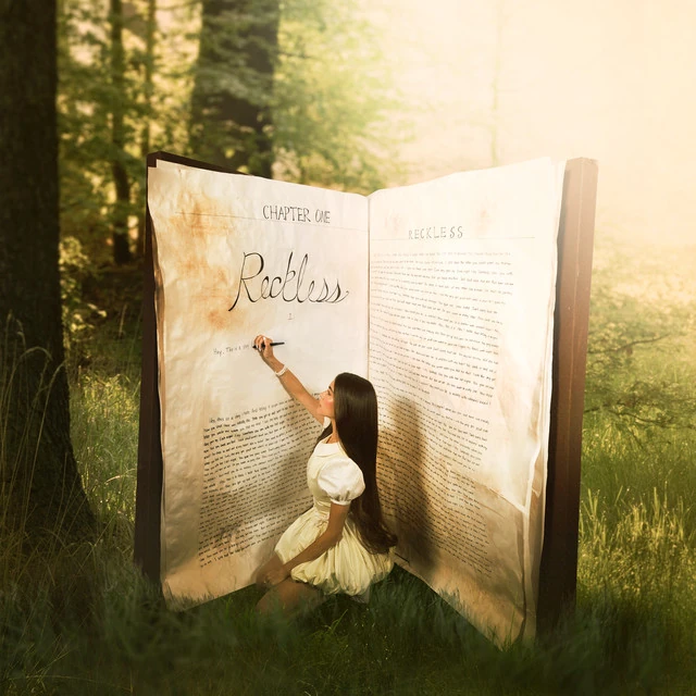 Reckless | Arcade Music Wiki | Fandom