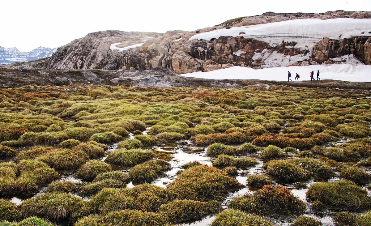 Thule | Arcadia DnD Wiki | Fandom