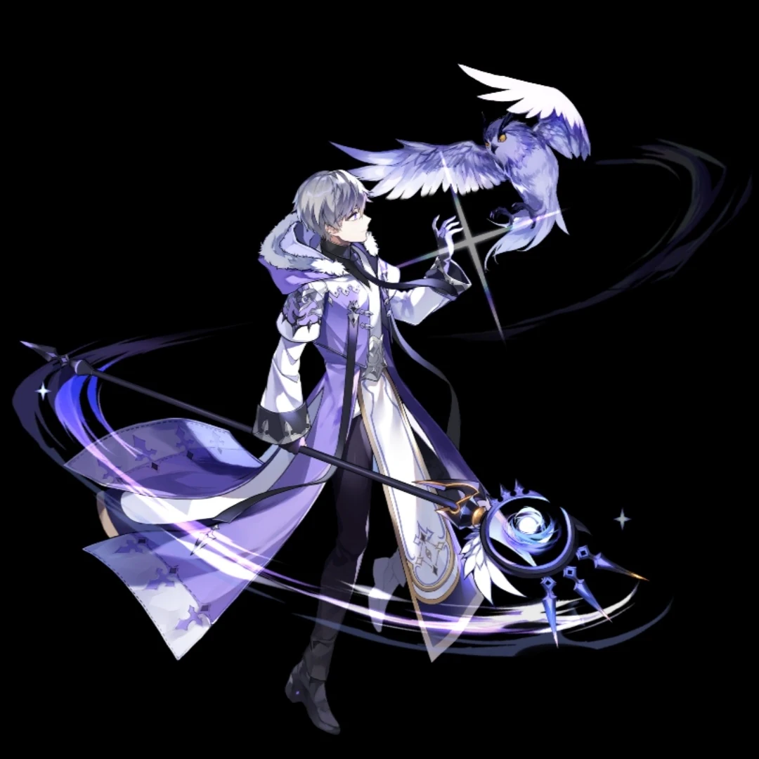 Wizard (Hero) | Arcana Tactics Wiki | Fandom