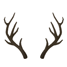 Accessories | Arcane Legacy RBLX Wiki | Fandom