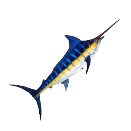 Swordfish | Arcane Legacy RBLX Wiki | Fandom