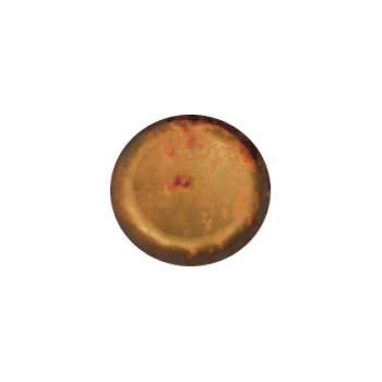 Rusty Coin | Arcane Legacy Wiki | Fandom