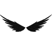 Accessories | Arcane Legacy Wiki | Fandom