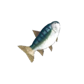 Fishing | Arcane Legacy Wiki | Fandom