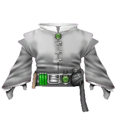 Wizard Robes | Arcane Legacy Wiki | Fandom