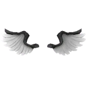 Accessories | Arcane Legacy Wiki | Fandom