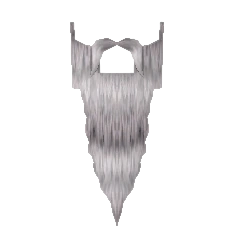 Very Long Fake Beard | Arcane Legacy Wiki | Fandom