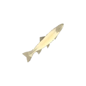 Fishing | Arcane Legacy Wiki | Fandom