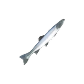 Fishing | Arcane Legacy Wiki | Fandom