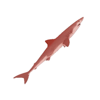 Redfin Shark | Arcane Legacy Wiki | Fandom