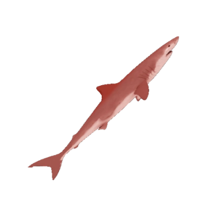 Redfin Shark | Arcane Legacy Wiki | Fandom
