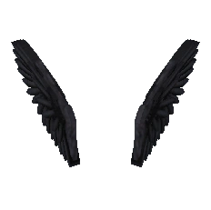 Crow Wings | Arcane Legacy Wiki | Fandom