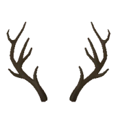 Accessories | Arcane Legacy Wiki | Fandom