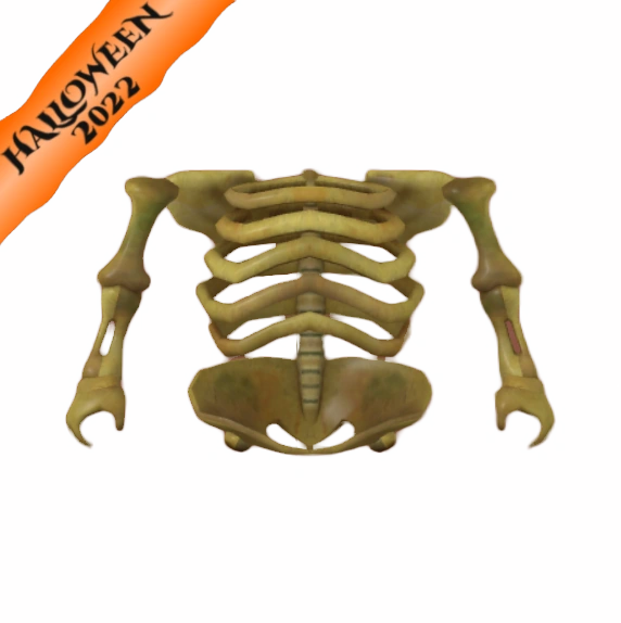 Skeleton Torso | Arcane Legacy Wiki | Fandom