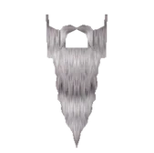 Very Long Fake Beard | Arcane Legacy Wiki | Fandom