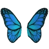 Morpho Butterfly Wings | Arcane Legacy Wiki | Fandom
