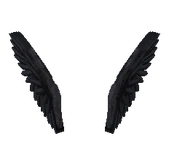 Crow Wings | Arcane Legacy Wiki | Fandom