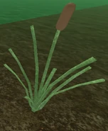 Items | Arcane Lineage Wiki | Fandom