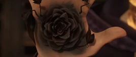 Black Rose | Arcane Wiki | Fandom