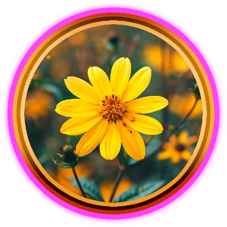 Staff | Arcane Conquest Wiki | Fandom