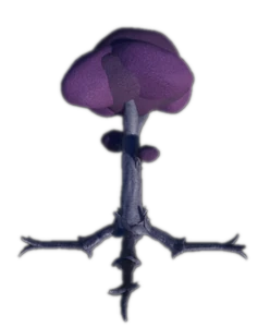 Corrupted Forest | Arcane Conquest Wiki | Fandom