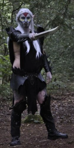 Pale Elf | Archaeus LARP Wiki | Fandom