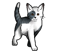 Lilykit | Archaic Clans Wiki | Fandom