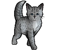 Stormkit | Archaic Clans Wiki | Fandom