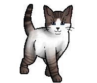 Tawnykit | Archaic Clans Wiki | Fandom