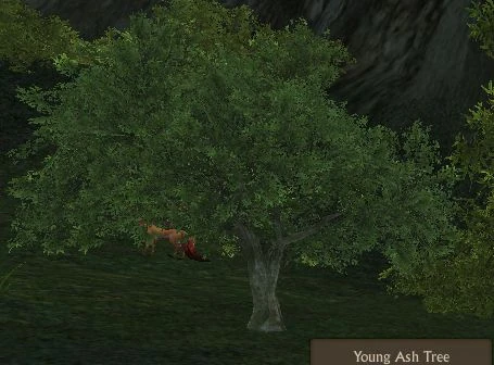 Ash Tree | ArcheAge Wiki | Fandom