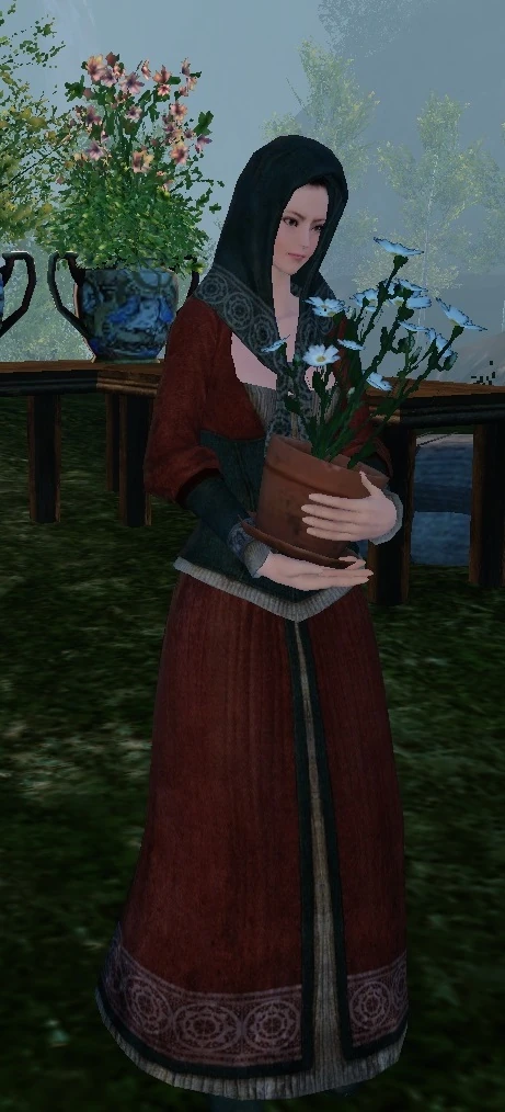 Seed Merchant | ArcheAge Wiki | Fandom