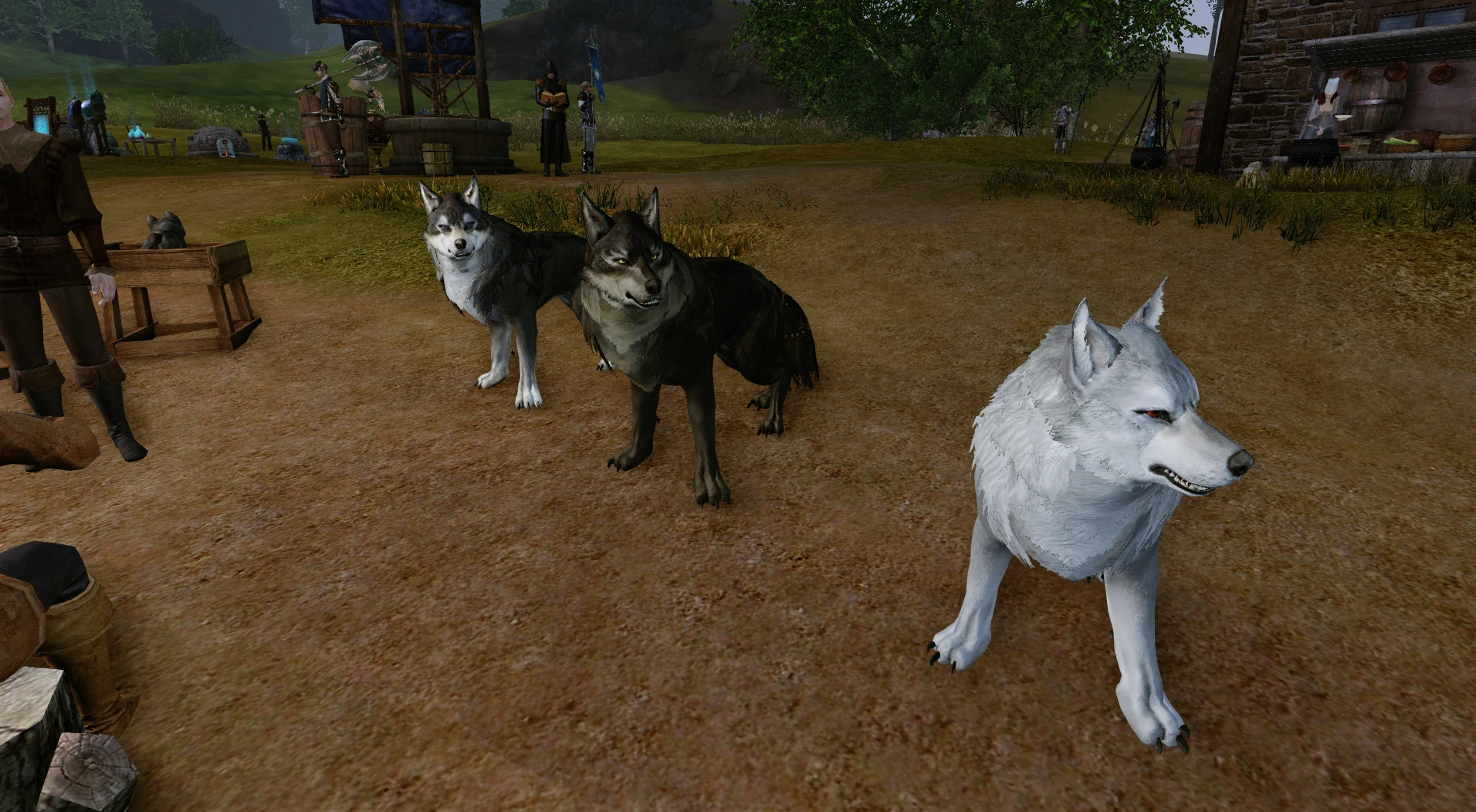 Archeage Pets